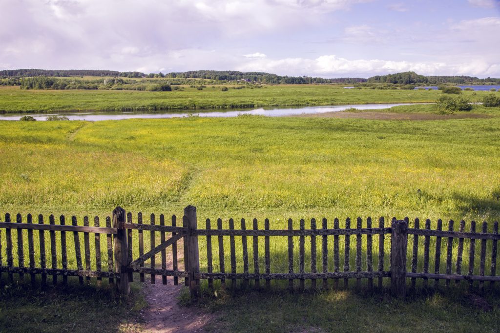 Fiscais agropecuários passam a ser chamados de auditores